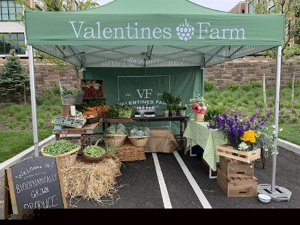 Best Canopy Tent for Farmers Market: A Guide for Vendors